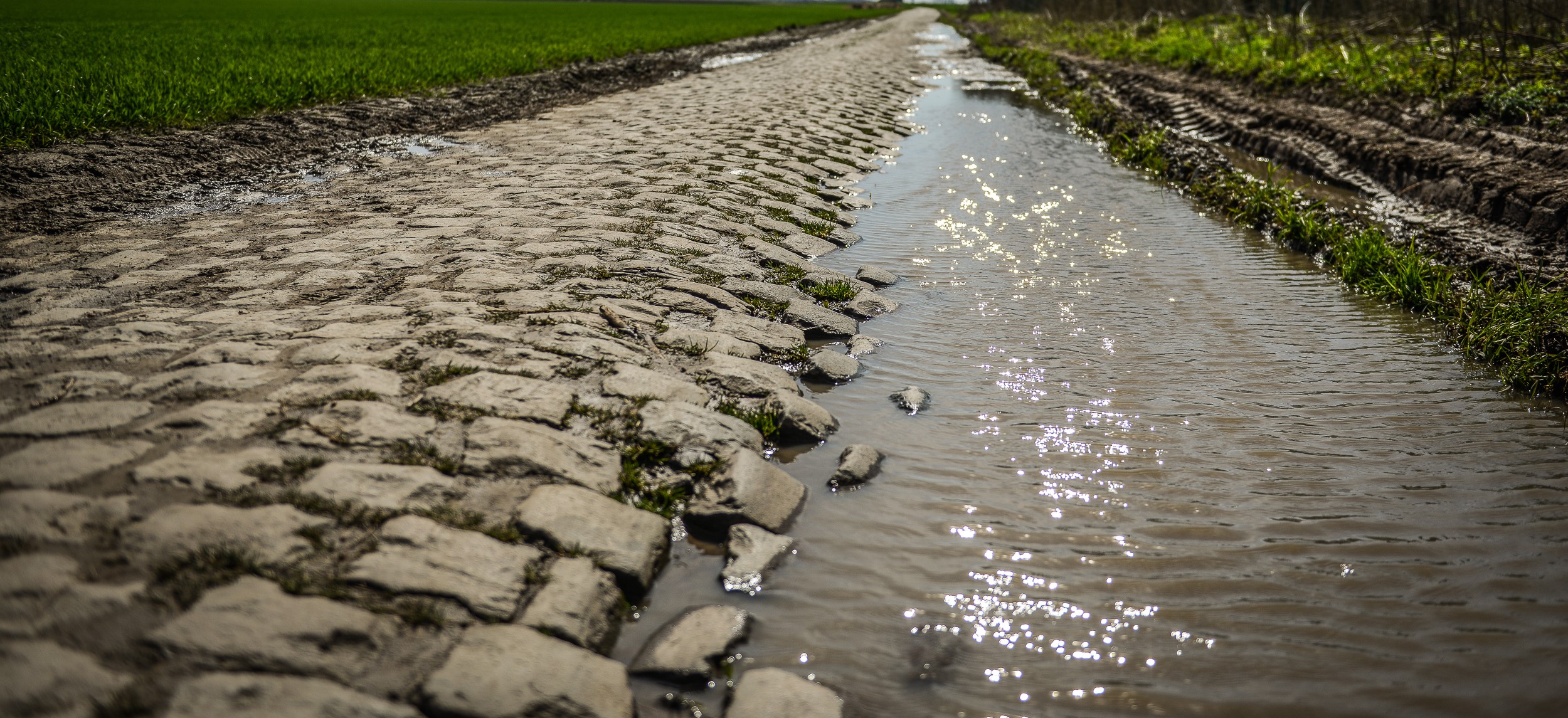 Paris-Roubaix 2021: 23 teams under the microscope - MPCC - Mouvement ...